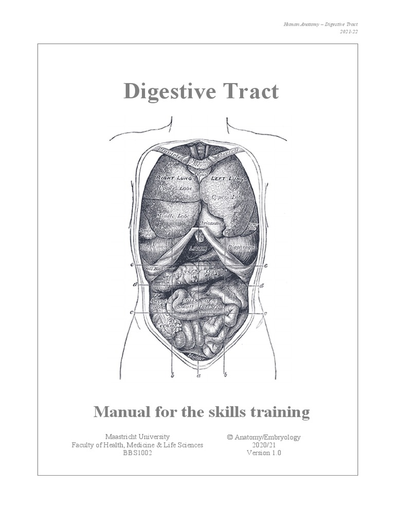 BBS1002 Gastrointestinal Tract Anatomy Skills Training Student 2021-22 ...