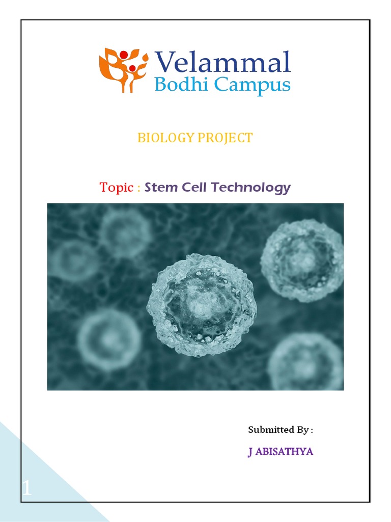 Stem Cell Project | PDF | Stem Cell | Cell Potency