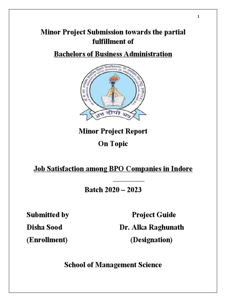 BPO | PDF | Job Satisfaction | Outsourcing