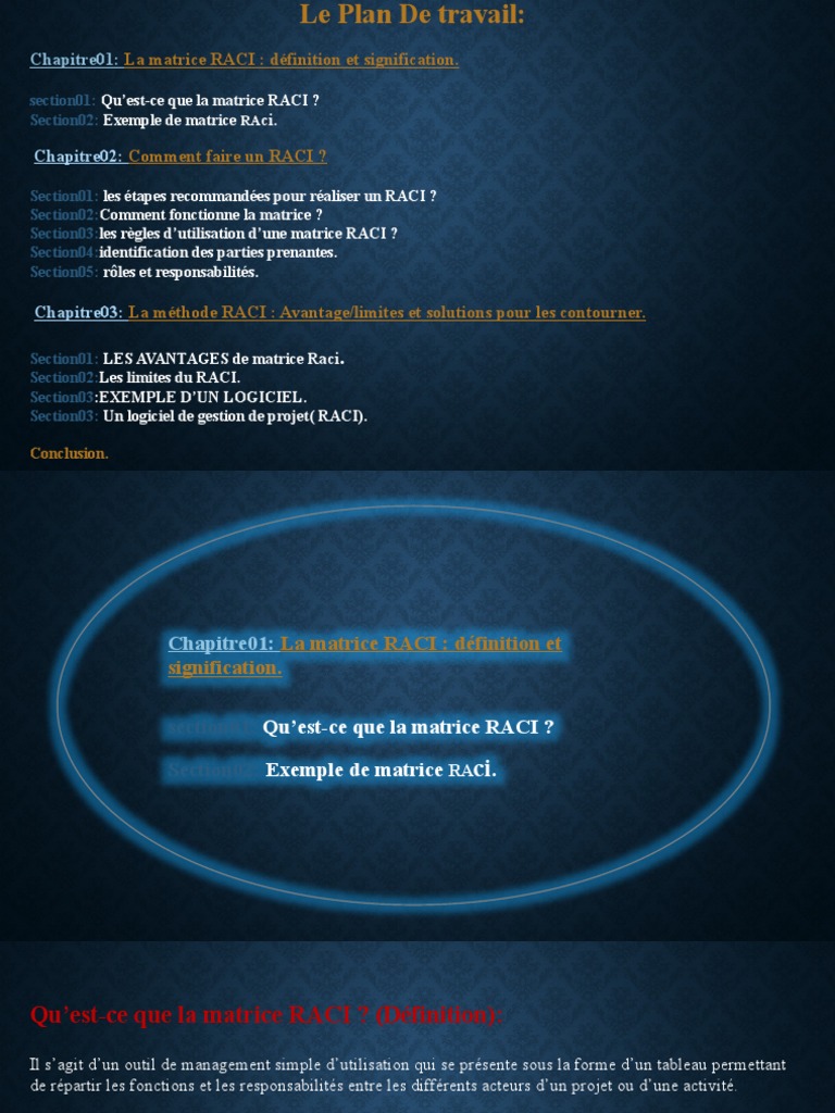 Raci | PDF | Gestion de projet | Partie prenante