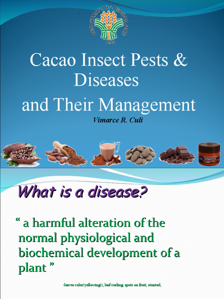 Pest and Diseases of Cacao | PDF | Trees | Branches Of Botany
