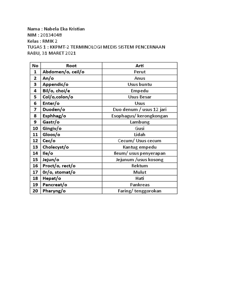Tugas Terdis Sistem Pencernaan | PDF