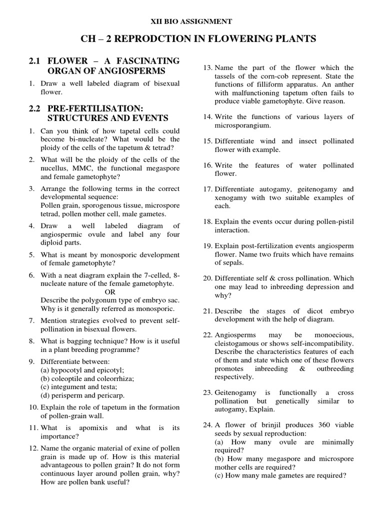 0212 Asgn Reproduction in Flowering Plants | PDF | Flowers | Fertilisation