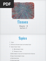 Class 9 Plant Tissues Notes - 1, 2022-23 | PDF | Tissue (Biology) | Leaf