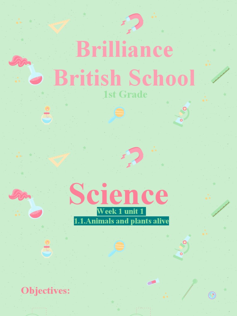brilliance-british-school-1st-grade-pdf