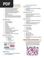 Common Drug Stems Cheat Sheet | PDF | Drugs | Pharmacology