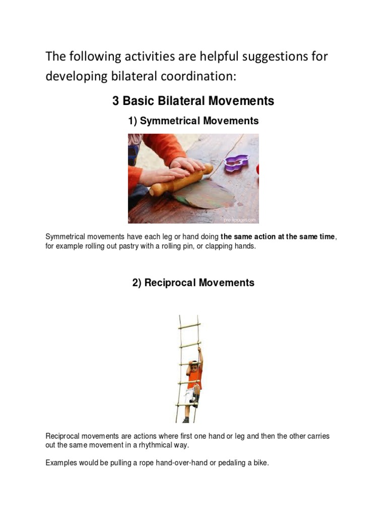 Bilateral Coordination | PDF
