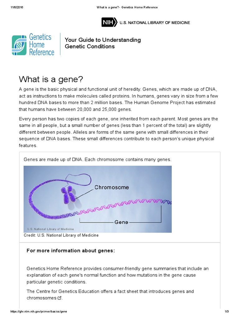 What Is A Gene - Genetics Home Reference | PDF | Gene | Genetics