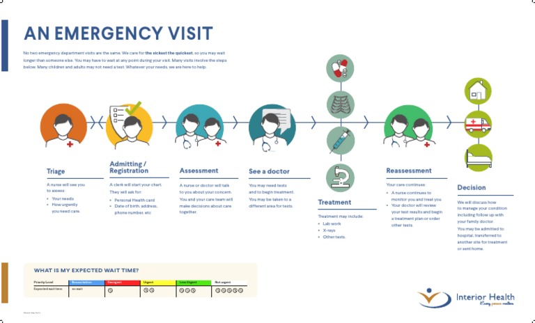 Visiting The Emergency Department | PDF | Emergency Department ...