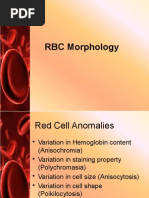 RBC Anomalies and Grading Criteria | PDF | Anemia | Red Blood Cell