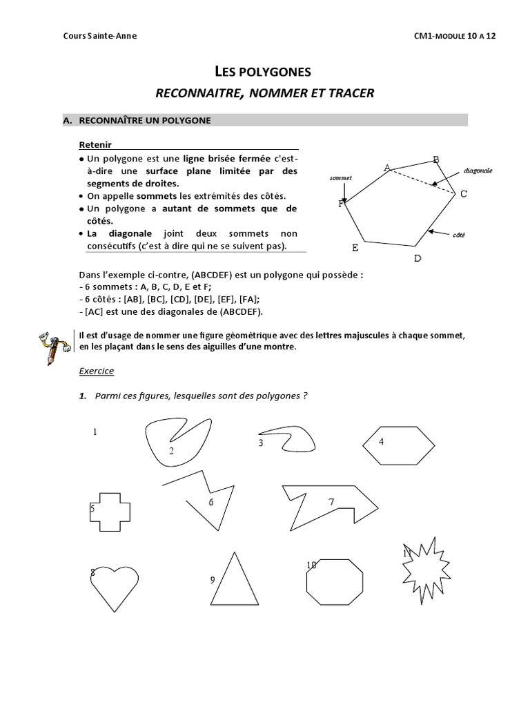 CSA Manuel Geometrie CM1 Modules 11 À 13 | PDF | Polygone | Triangle