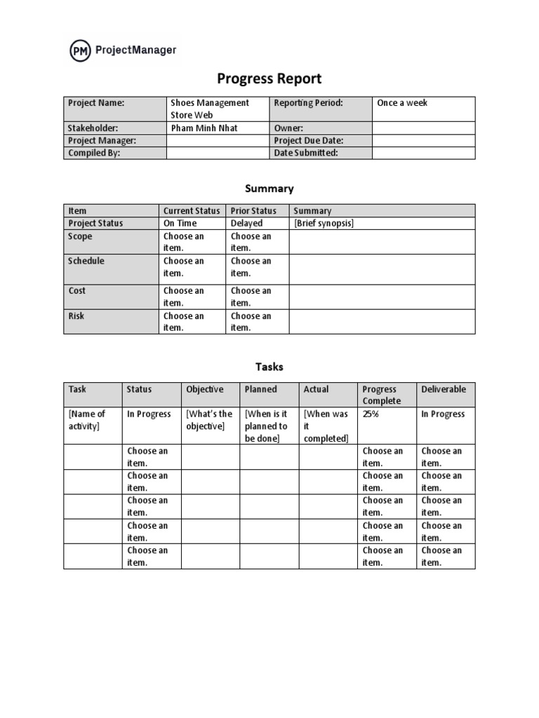 Free Progress Report Template ProjectManager ND | PDF | Business ...
