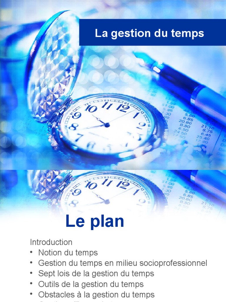 La Gestion Du Temps | PDF