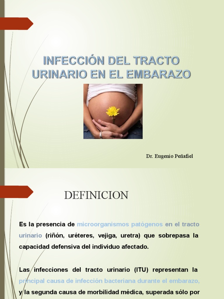 Kuro | PDF | Infección del tracto urinario | El embarazo