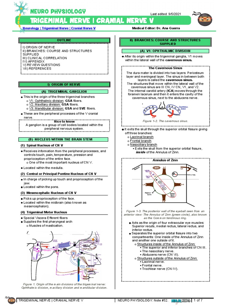 117 - Neurology Physiology) Trigeminal Nerve - Cranial Nerve V | PDF ...