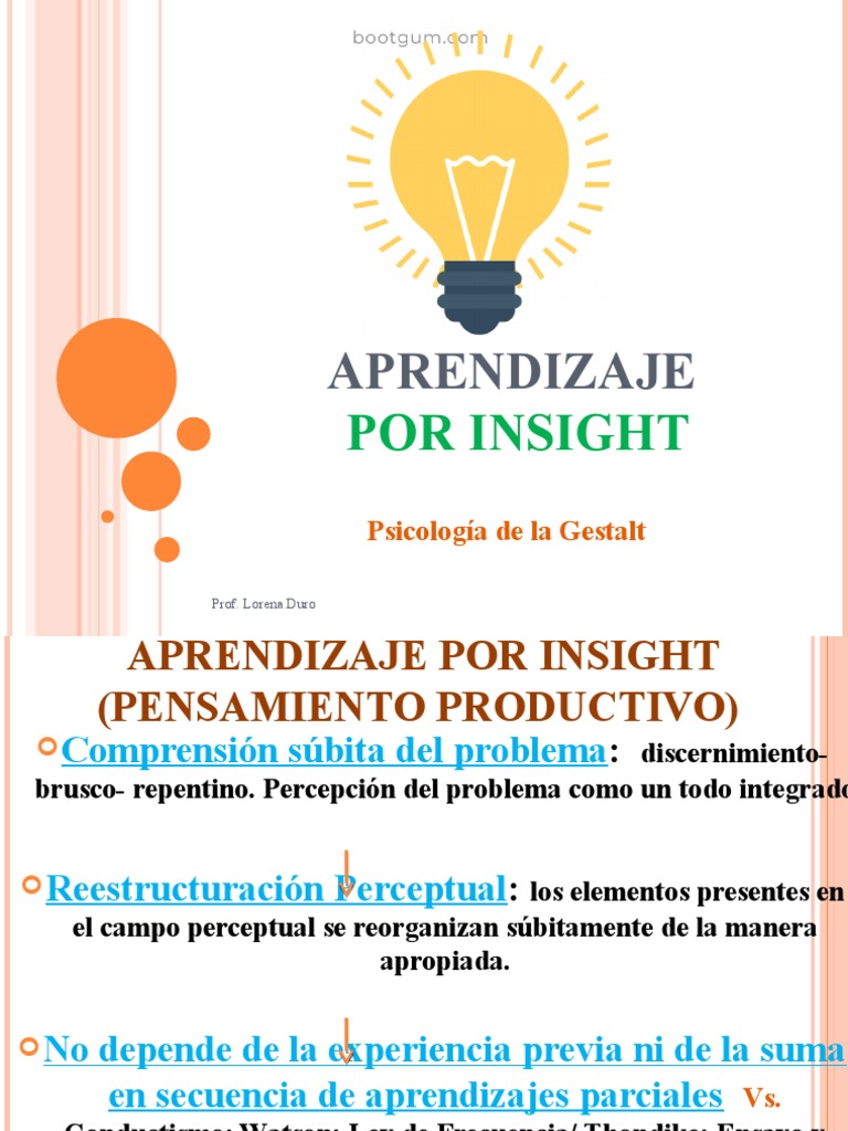 La Gestalt - Aprendizaje Por Insight | PDF
