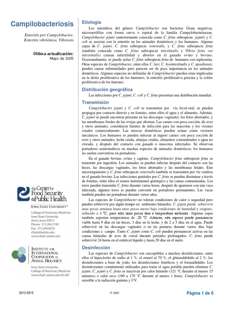 Campilobacteriosis | PDF | Diarrea | Especialidades Medicas