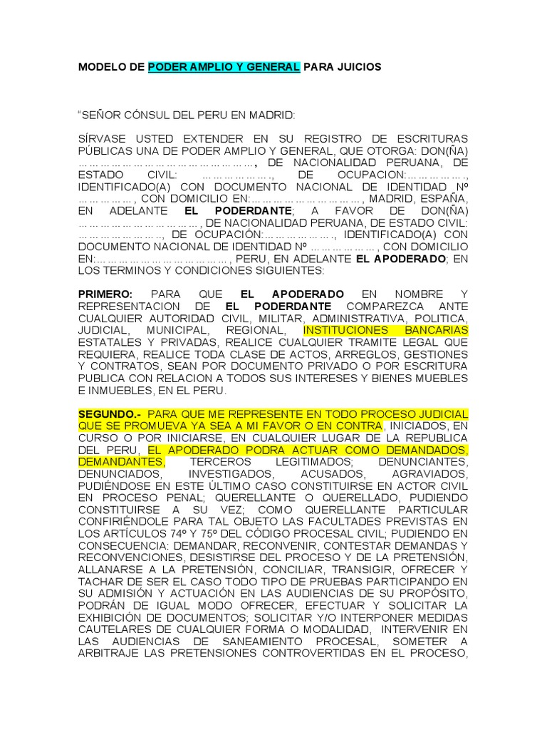 Modelo - Poder Amplio y General-Juicios | PDF | Ley procesal ...