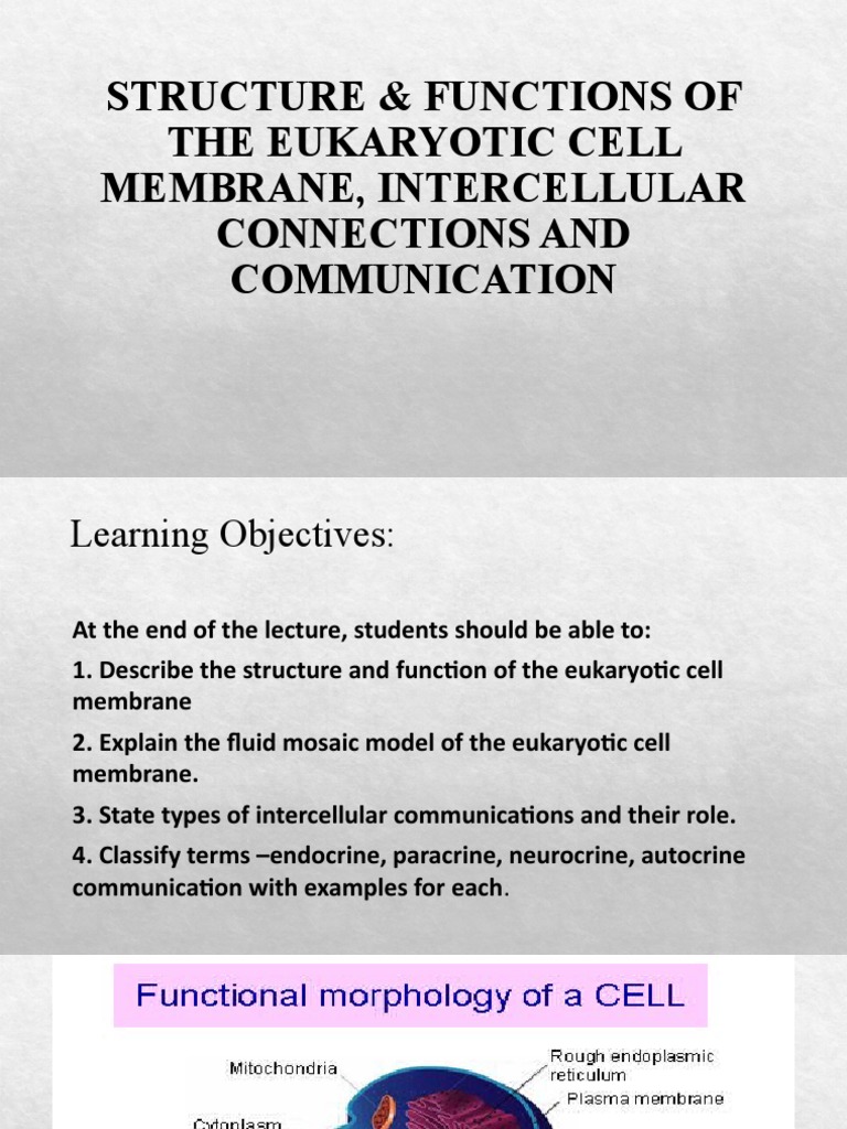 Structure Functions of The Eukaryotic Cell Membrane | PDF | Cell ...