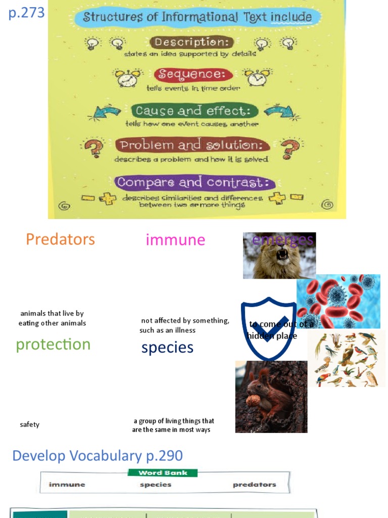 Weird Friends | PDF | Plural | Vowel