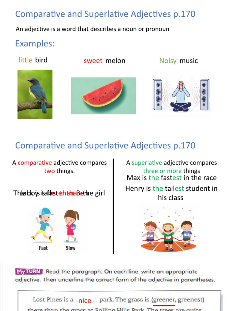 Why The Sun and The Moon Live in The Sky | PDF | Adjective | Noun