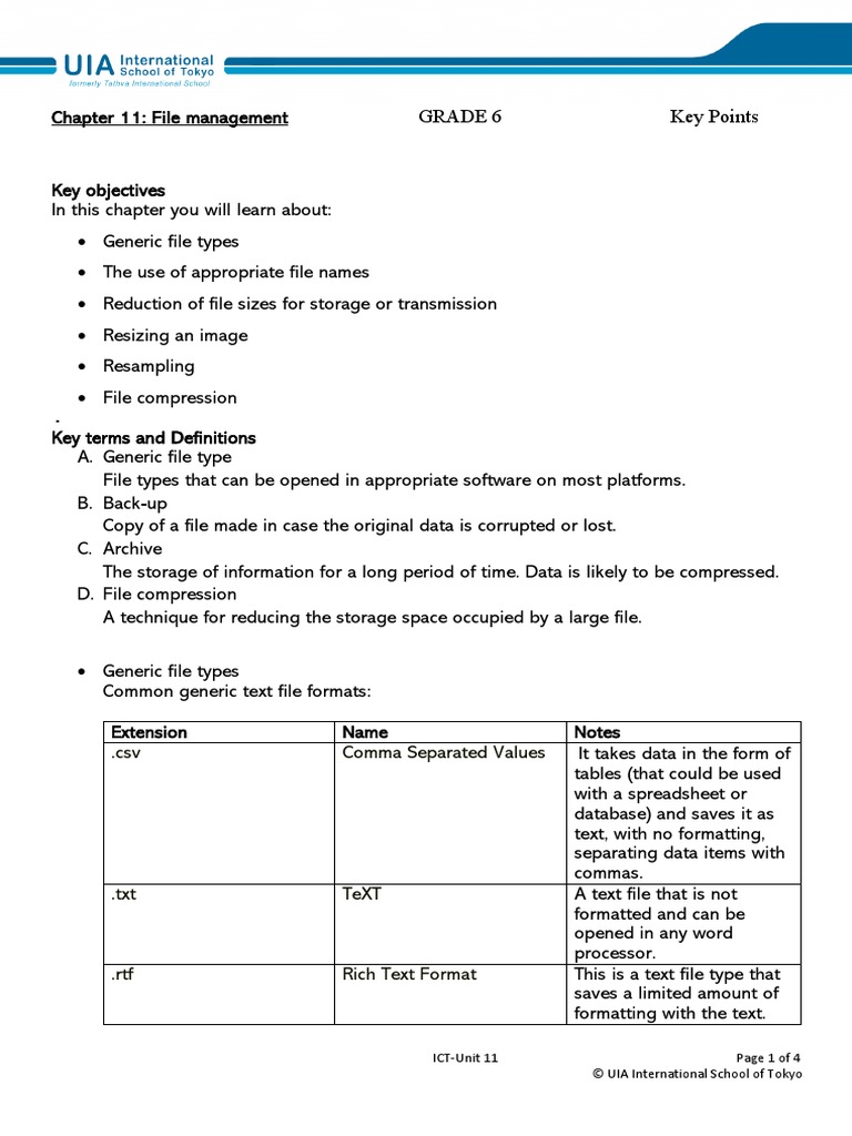 ICT-G6-Unit 11-Summary | PDF | Computer File | File Format