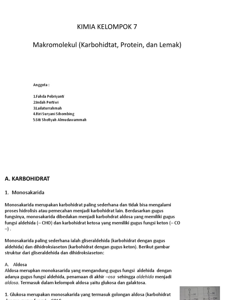 Karbohidrat, Protein, dan Lemak: Struktur dan Sifat Makromolekul Utama ...