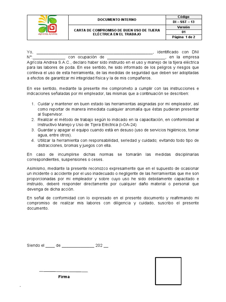 Di-Sst-13 Carta Compromiso Tijera Electrica | PDF