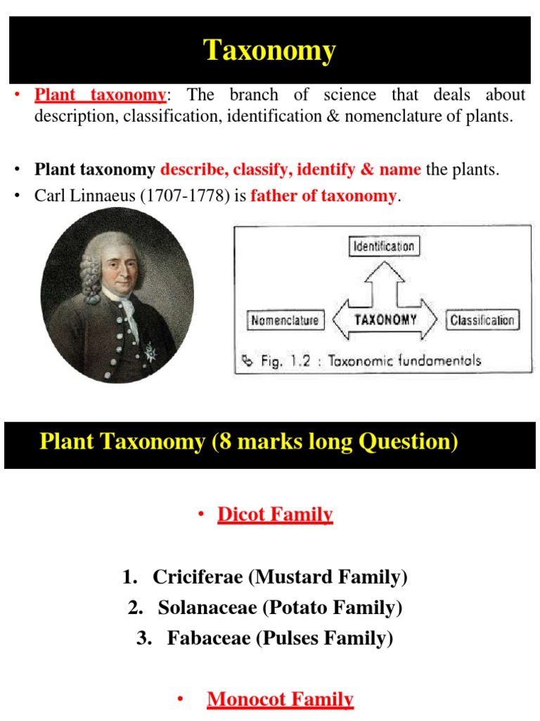 Taxonomy Families of Angiosperms | PDF | Flowers | Plants