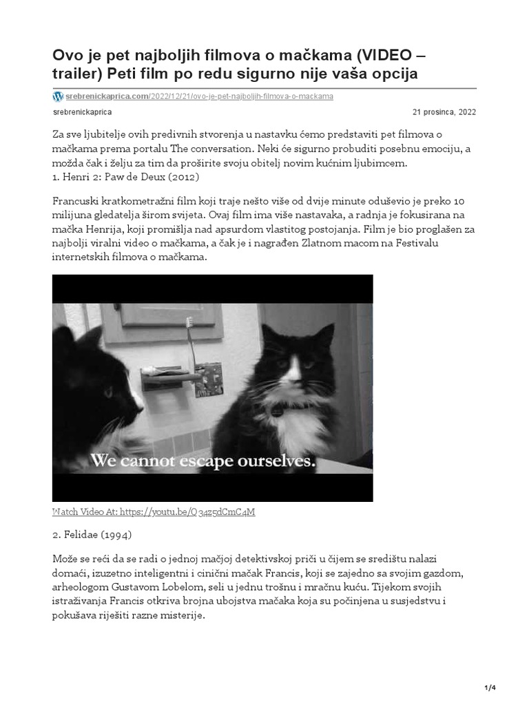 Ovo Je Pet Najboljih Filmova o Mačkama VIDEO Trailer Peti Film Po Redu Sigurno Nije Vaša Opcija ...