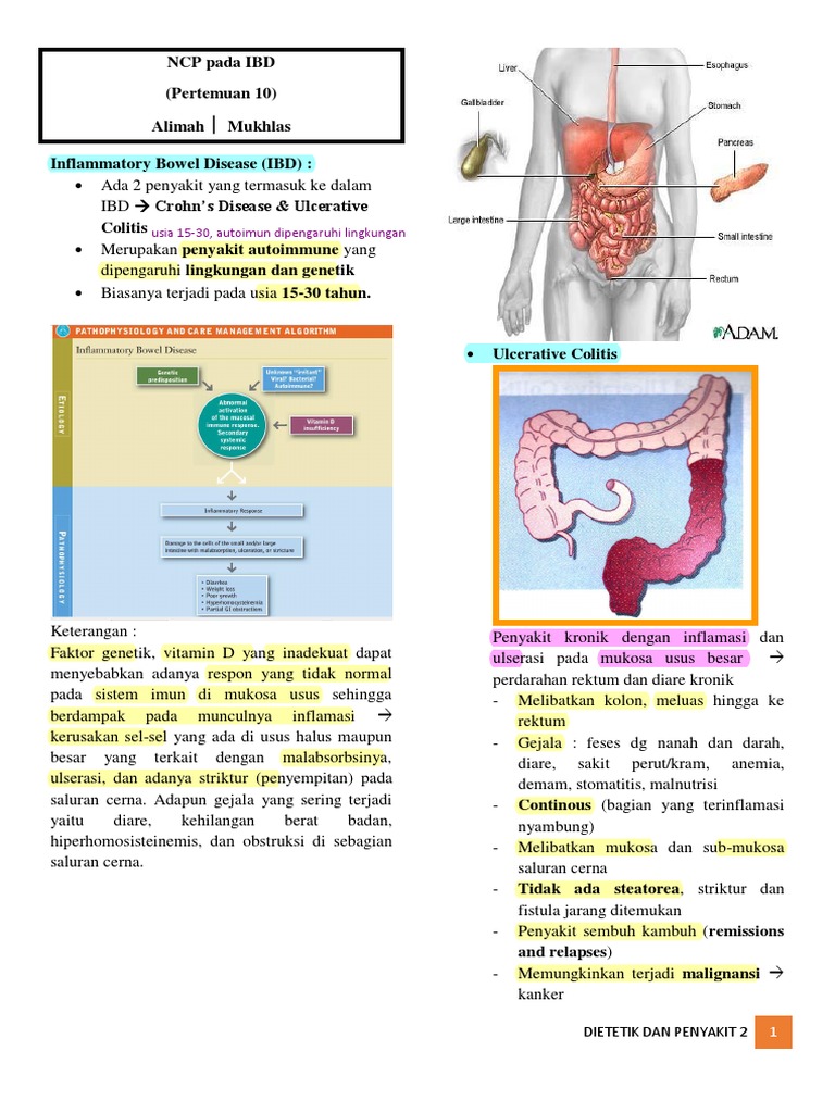 NCP Pada IBD | PDF
