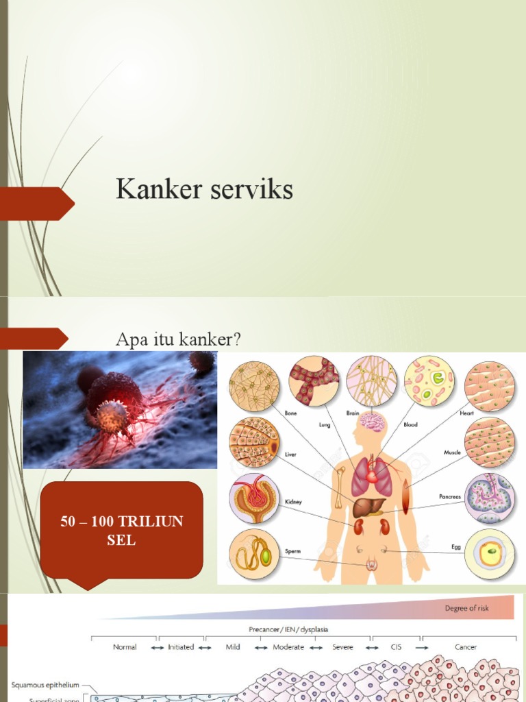 Pencegahan Kanker Serviks | PDF