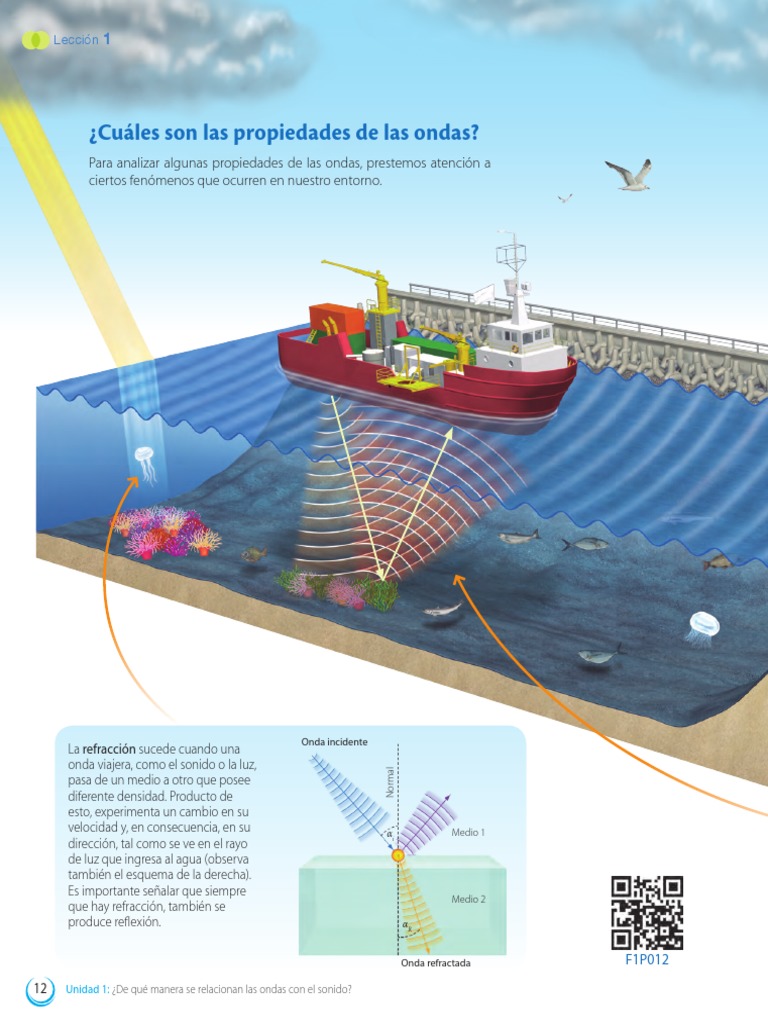 ¿Cuáles Son Las Propiedades de Las Ondas? | PDF | Olas | Refracción
