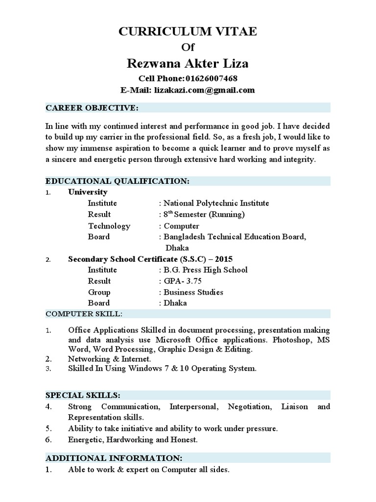 Liza CV | PDF | Computing | Communication