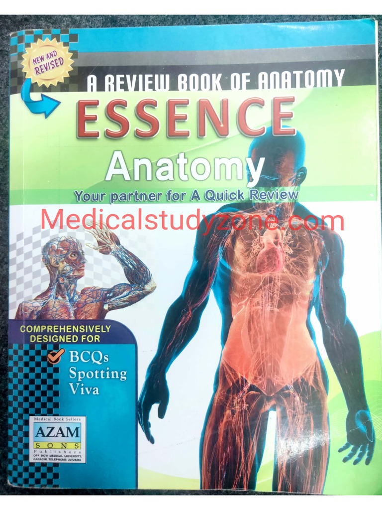 Essence Anatomy PDF | PDF