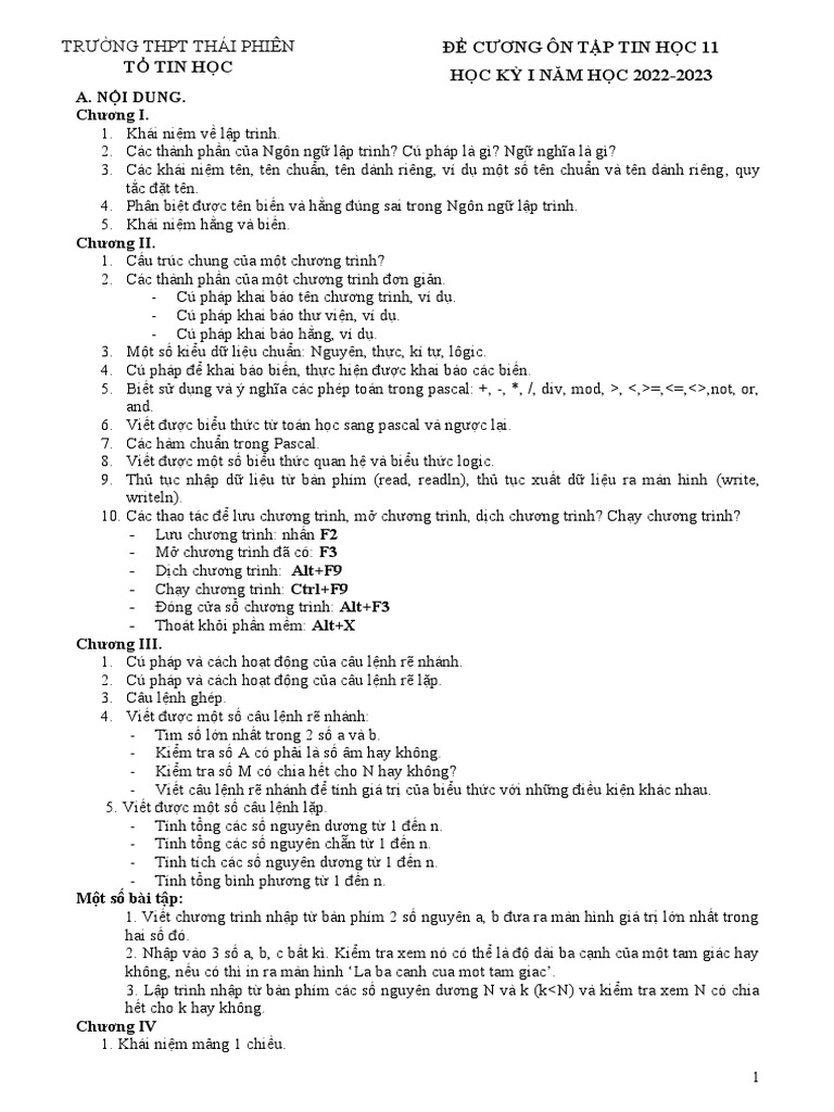 ĐỀ CƯƠNG TIN HỌC 11 HKI NĂM 22 - 23 | PDF