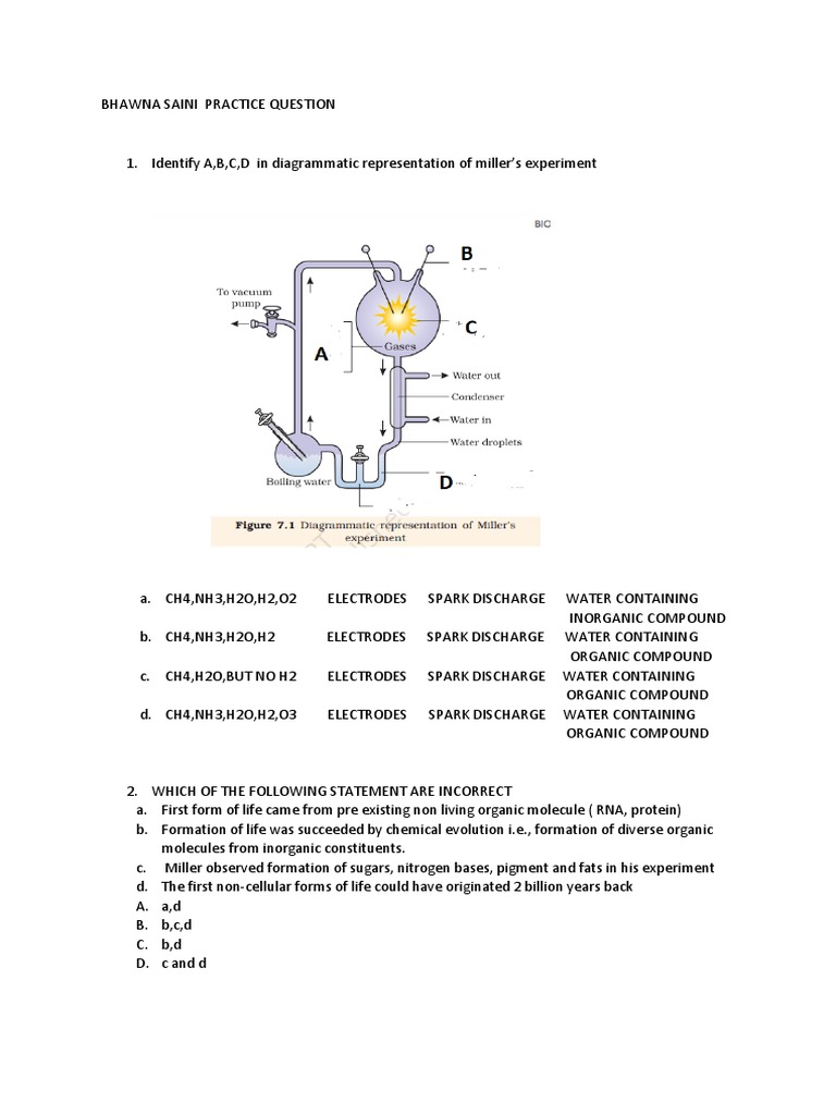 EVOLUTION Class 12 | PDF | Evolution | Homology (Biology)