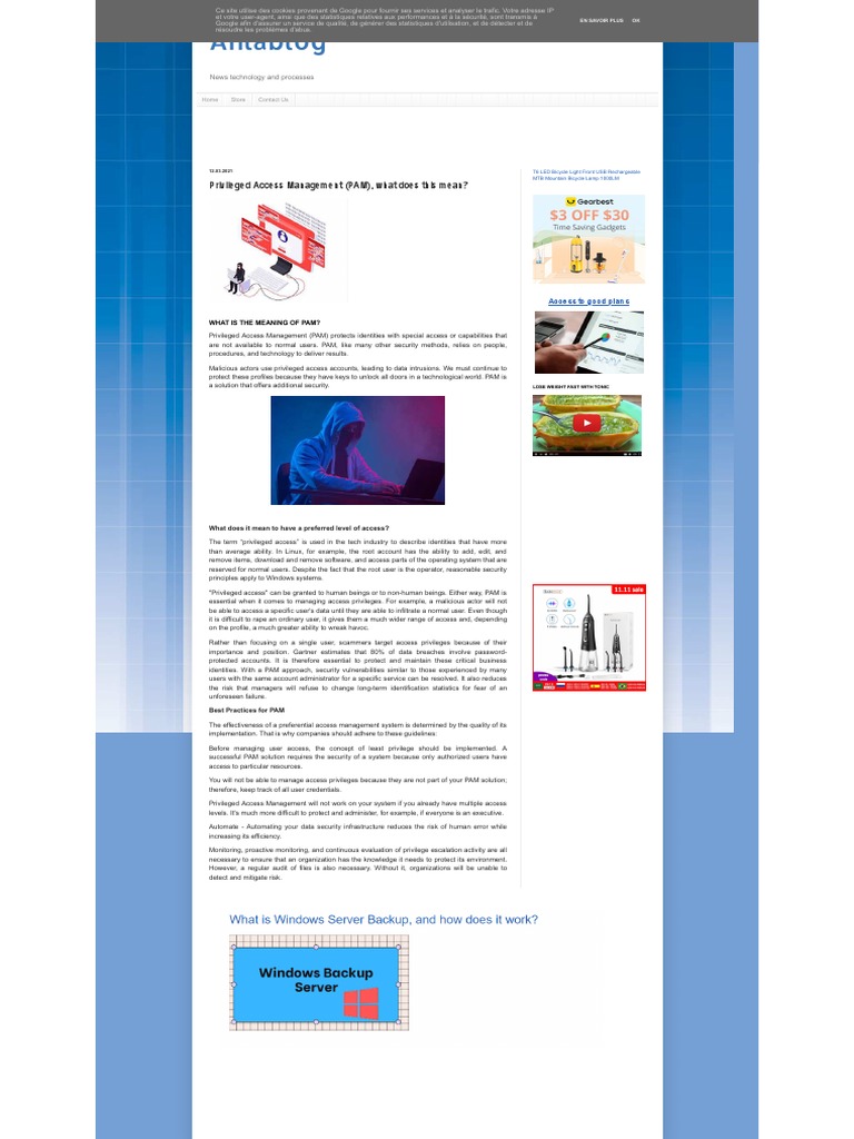 Privileged Access Management (PAM), What Does This Mean? | PDF | User (Computing) | Information ...