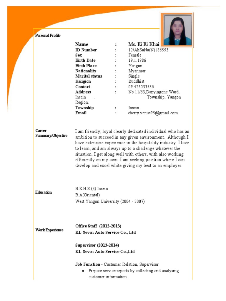 Fancy CV Template | Download Free PDF | Car | Résumé