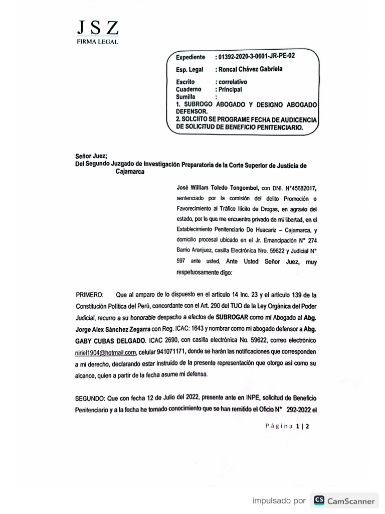 Subrogo Abogado, Designó Abogado Defensor, Solicito Programación de Audiencia | PDF