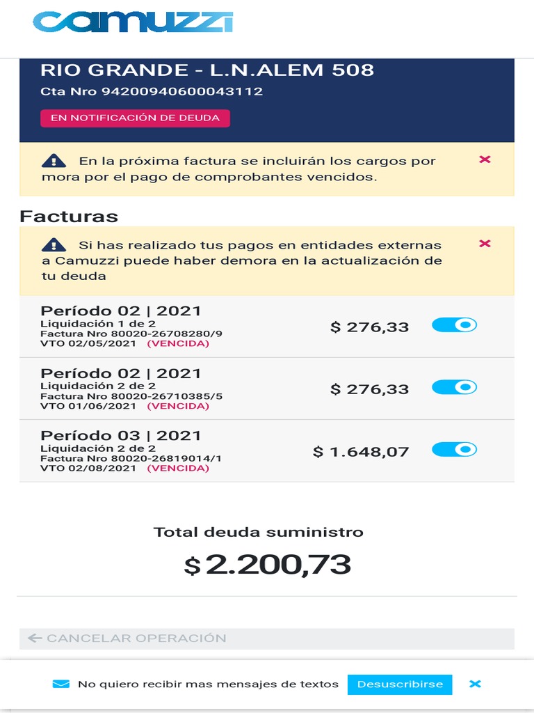 Oficina Virtual Camuzzi Gas - Distribuidora de Gas Natural de Argentina | PDF