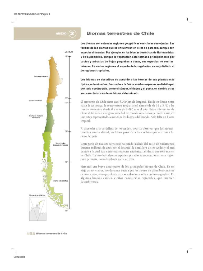 Biomas terrestres de Chile: Una descripción detallada de los ...