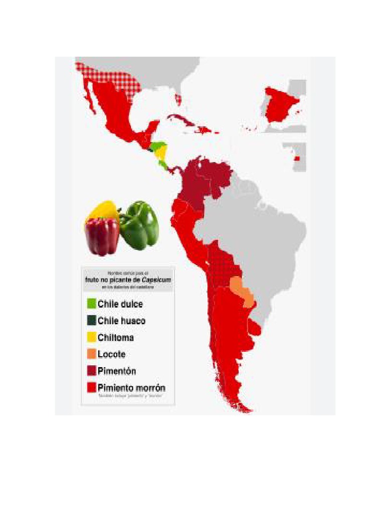 Historia Del Aji | PDF | Ají picante | Pimiento