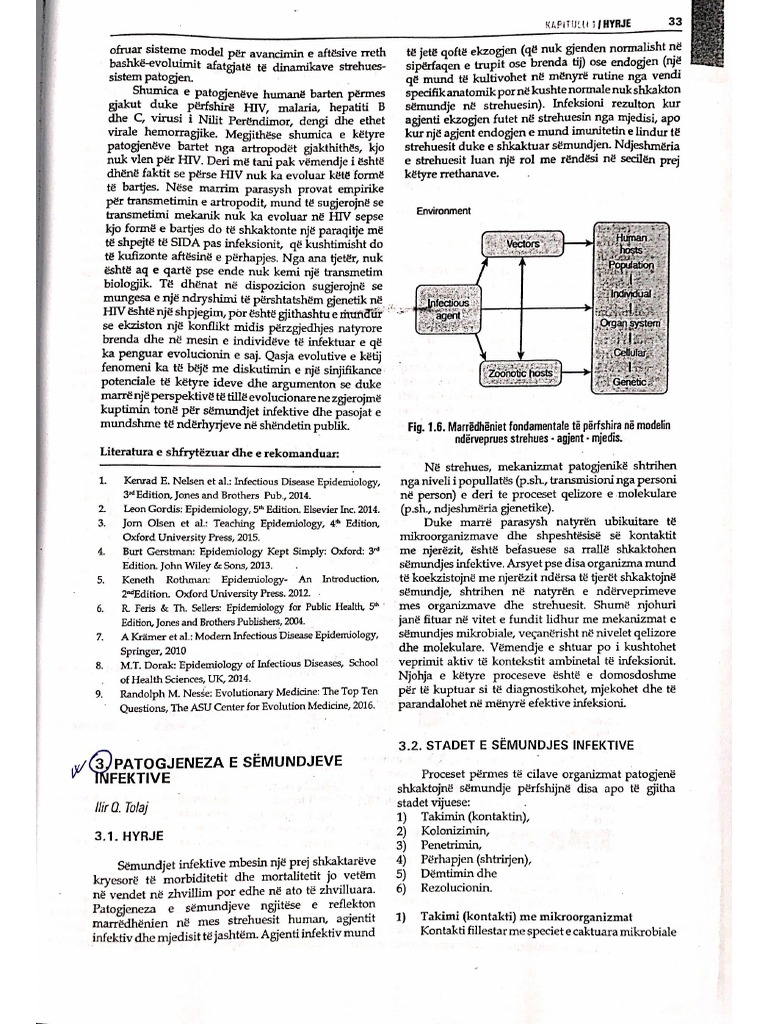 Infektive Kap 1, Tolaj | PDF