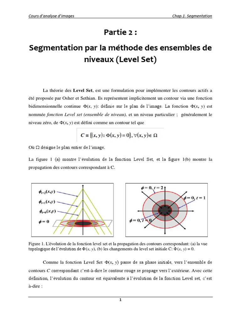 Segmentation Par La Méthode Des Ensembles de Niveaux (Level Set) | PDF ...