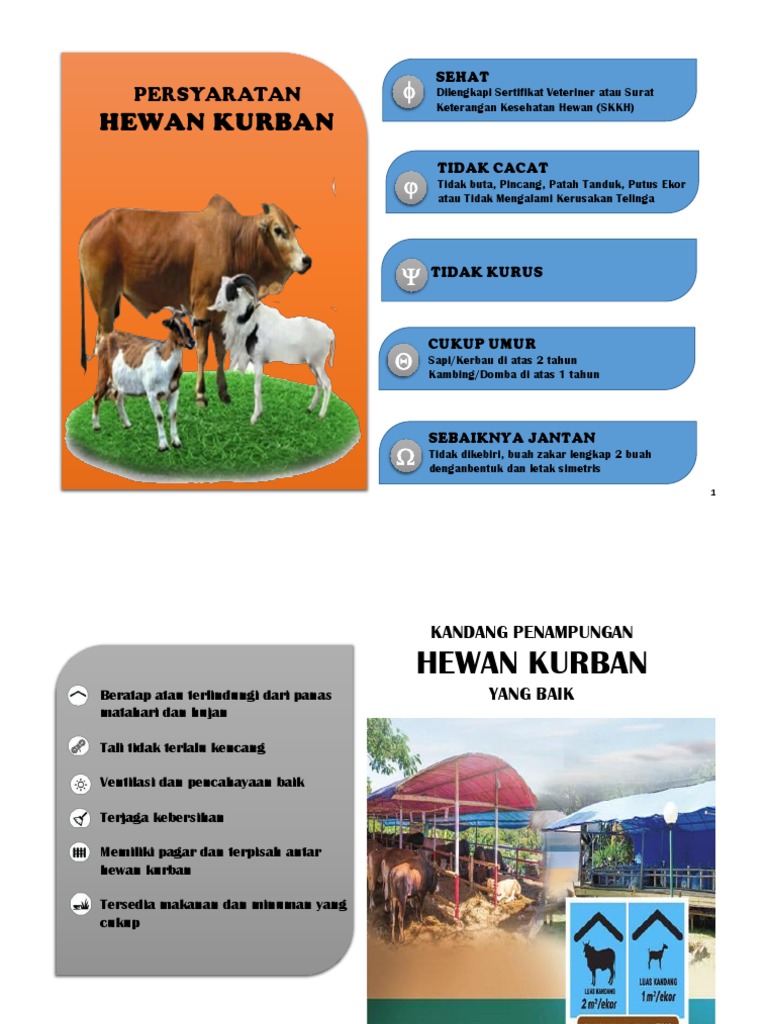 Penyembelihan Hewan Kurban | PDF