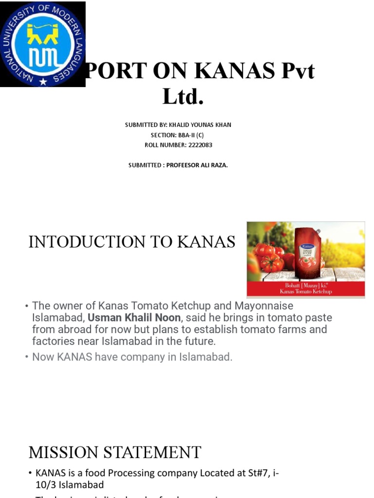 Management Project | PDF