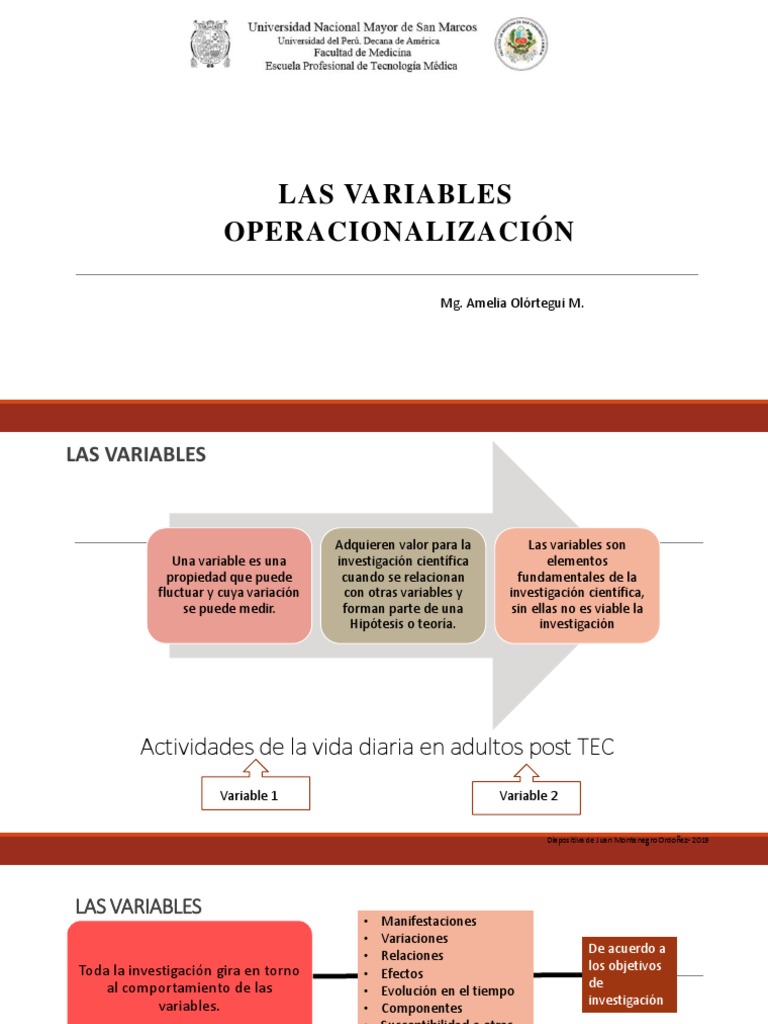Las Variables. | PDF | Medición | Sicología