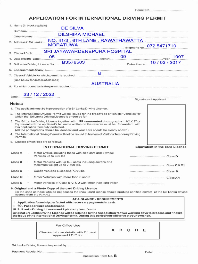 Application For International Driving License | PDF