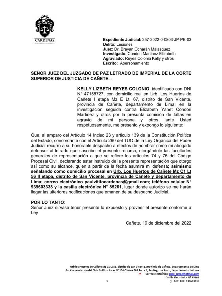 Apersonamiento Kelly Reyes | PDF | Ley Pública | Gobierno
